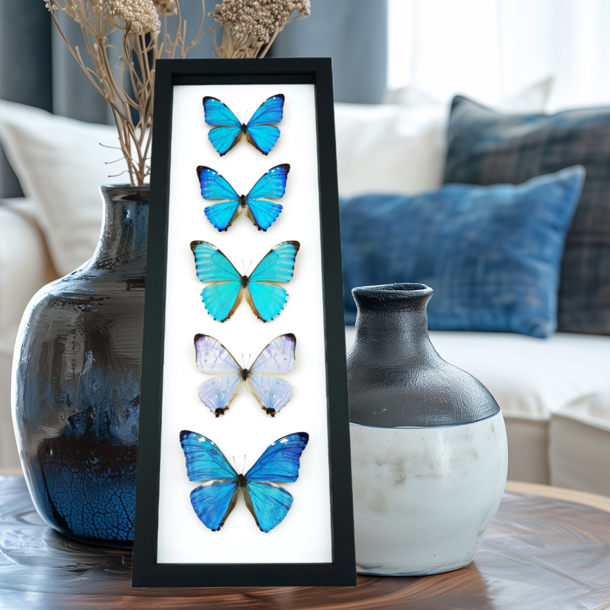 Diamond Morpho Butterfly Collection - Framed Taxidermy Classic