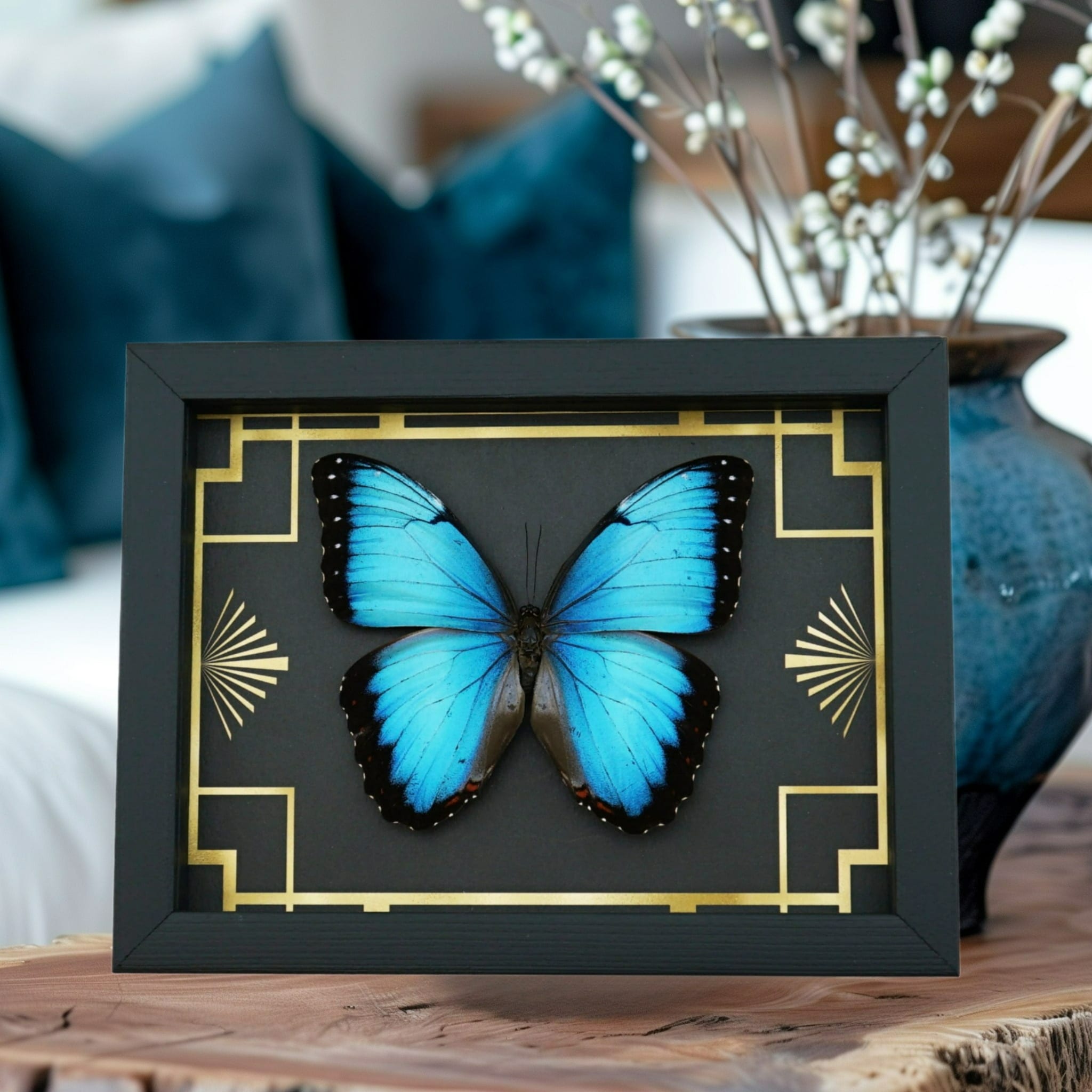 Real Blue Morpho Butterfly - Art Deco Morpho peleides Morpho