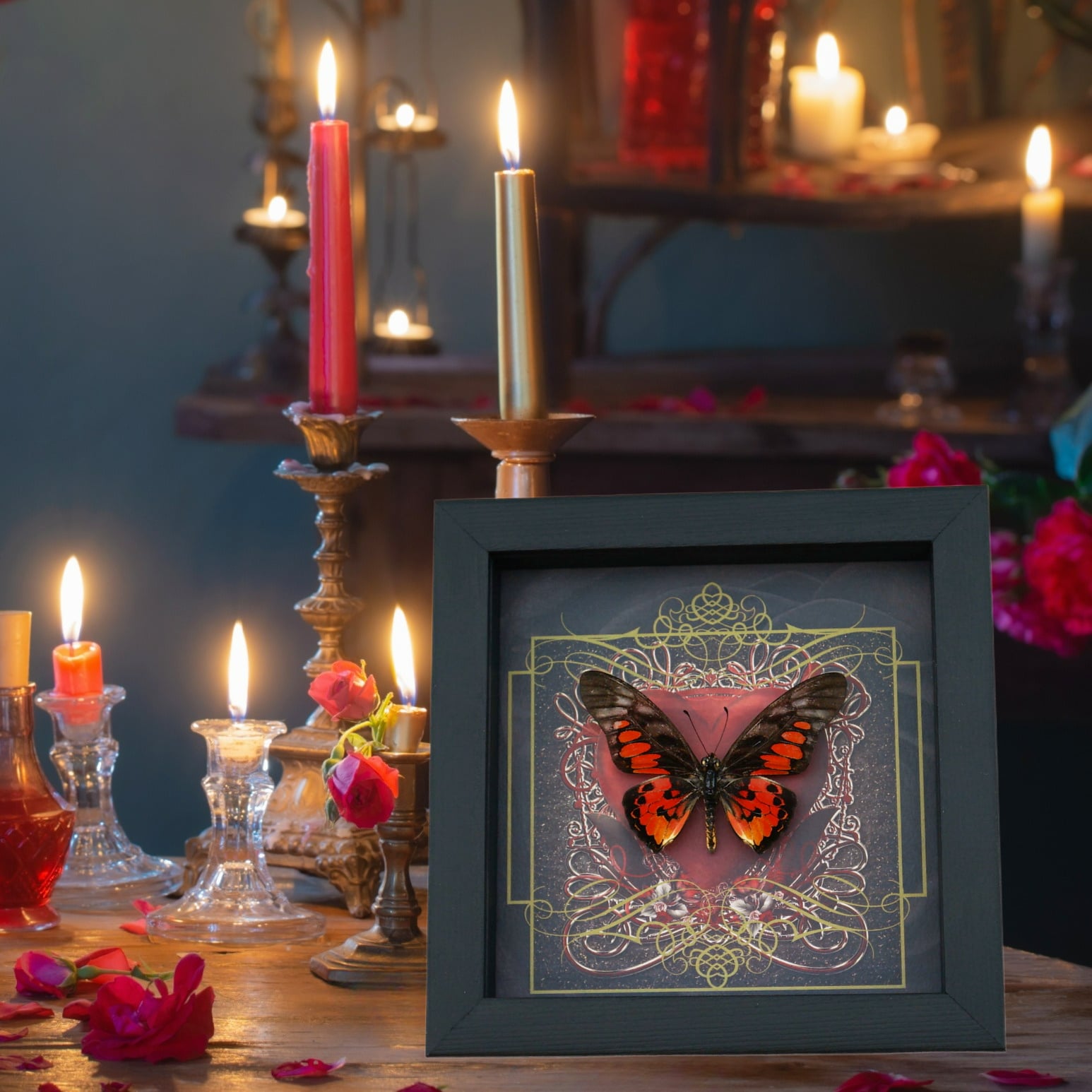 Real Red Heart Butterfly Graphium - rydleyanus Framed Taxidermy