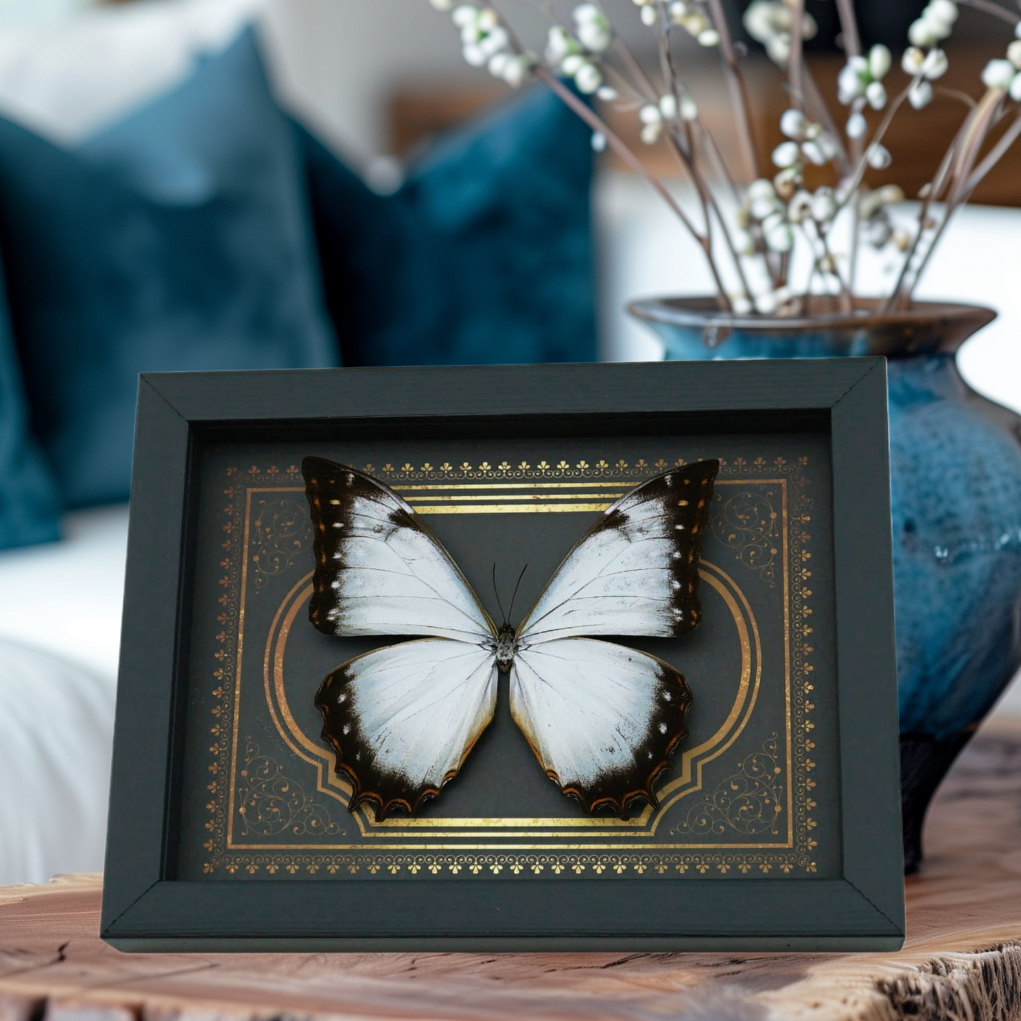 Rare Ghostly White Morpho Butterfly - Gothic gold border Framed