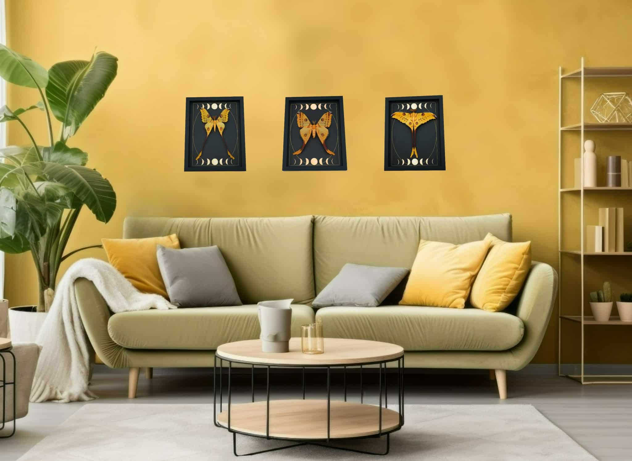 Framed Butterflies - Butterfly Designs USA - Real Insect taxidermy Art