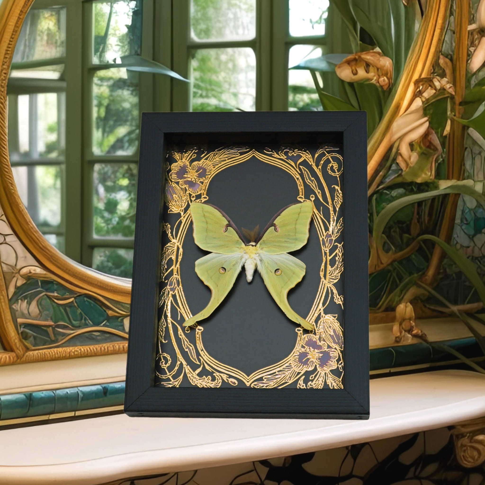 Real Luna Moth Framed Taxidermy - Gold Foil Art Nouveau