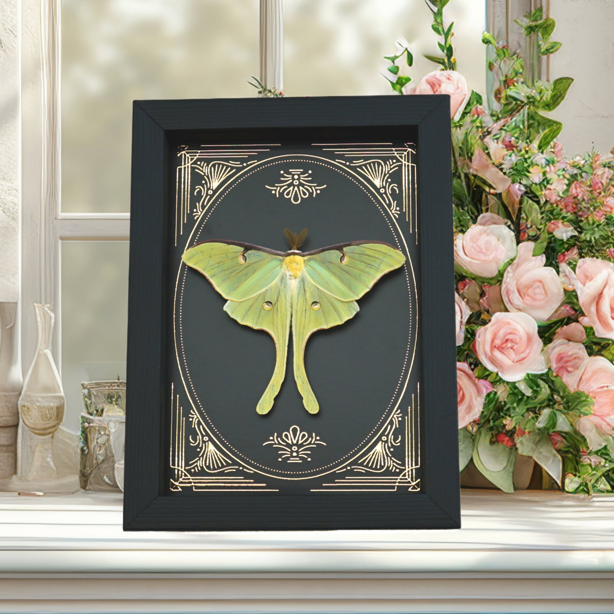 Real Luna Moth Gold Foil Victorian - Actias luna Resting Framed